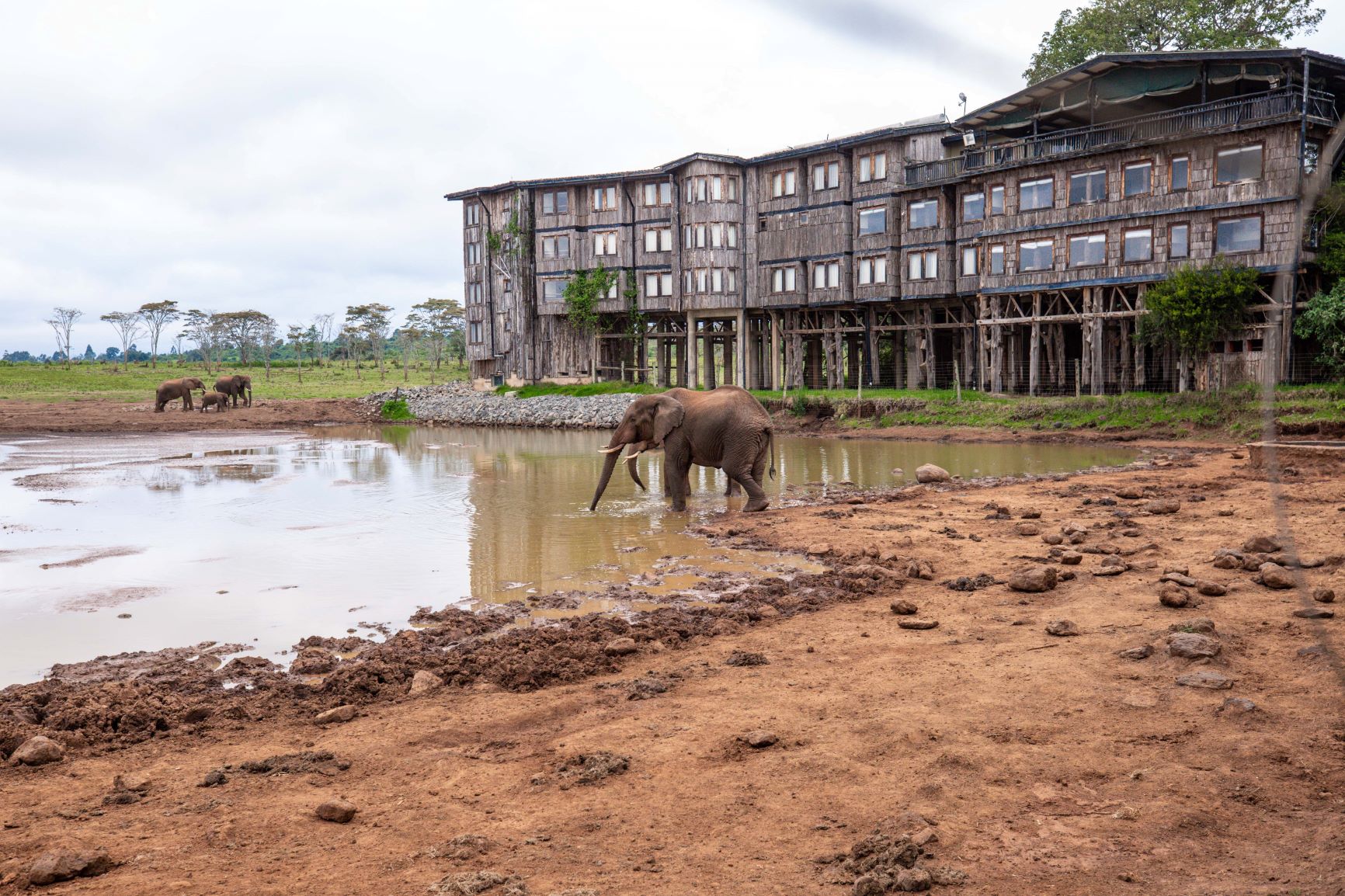 Kenya to leverage WRC safari rally to profile tourism sites - Business Now