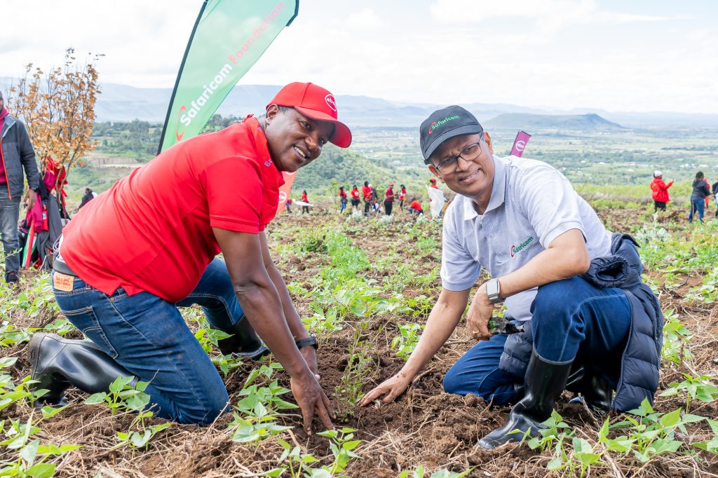 Absa Bank Kenya facilitates planting of 30,000 trees - Business Now